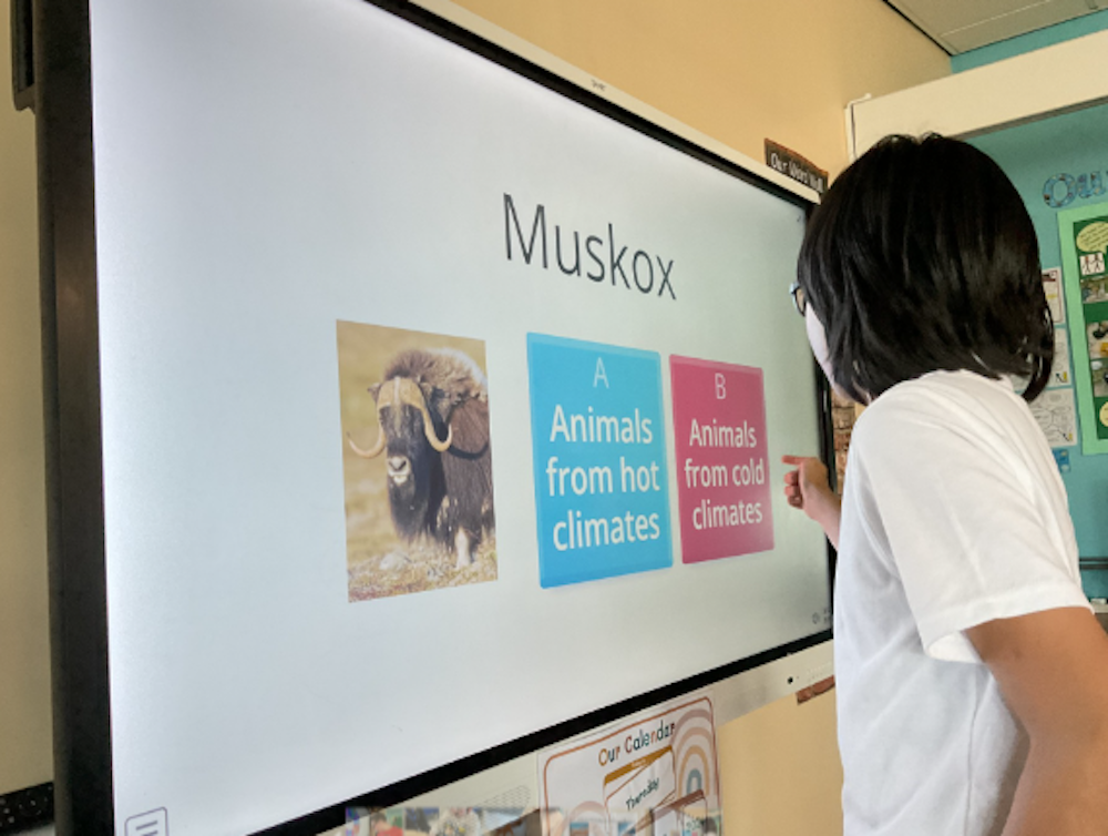 Curriculum Cognition And Learning